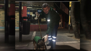 “Batata”, el acompañante de Miguel en cada noche de barrido - Notas ...