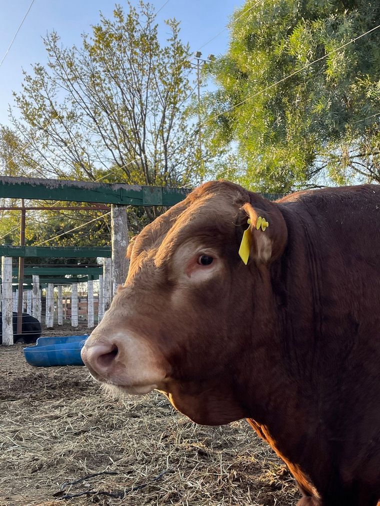 "Nicanor" llegó a Jesús María - Actualidad - Cadena 3 Argentina